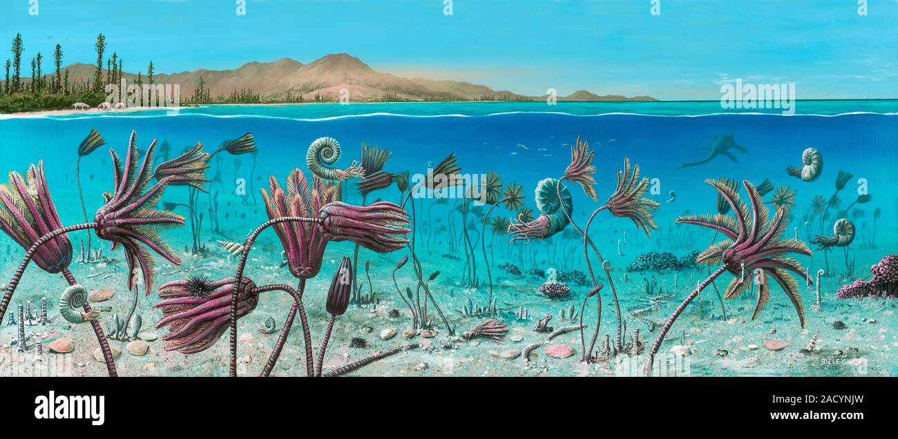 Triassic land and marine life, artwork. A scene during the Late ...