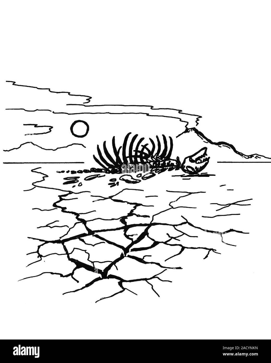 Illustration showing a scene of death during the Permian extinction ...