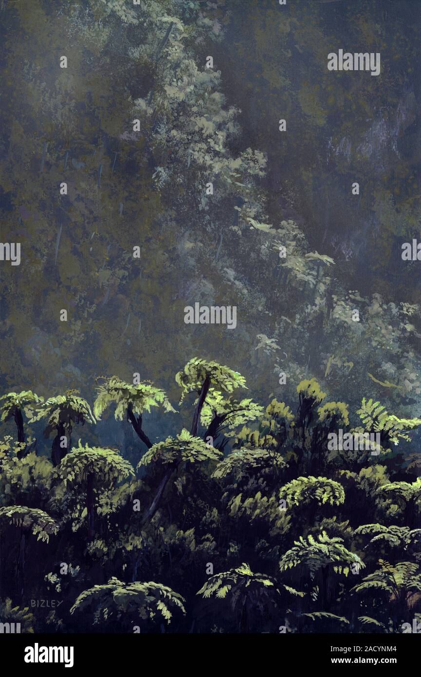 Mountains covered with tree ferns, Reunion island Stock Photo - Alamy