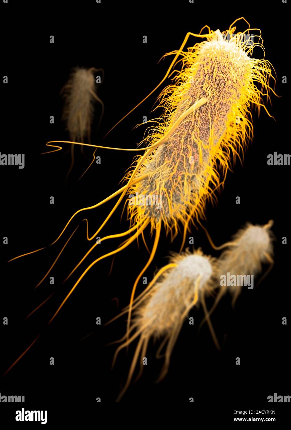Drug Resistant Esbl Bacteria 3d Computer Illustration Of A Group Of