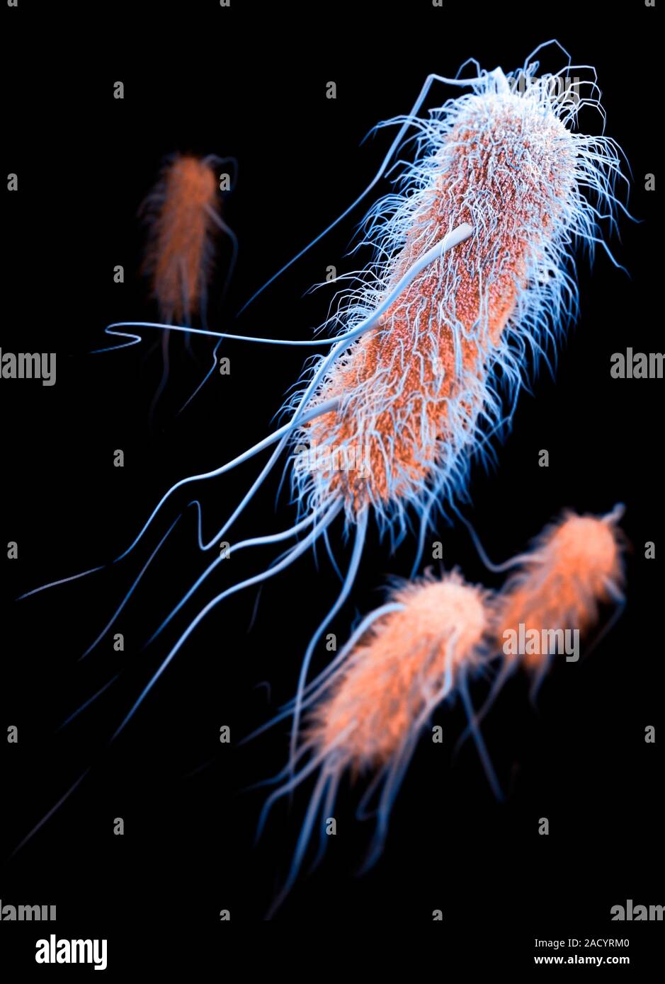 Drug-resistant ESBL bacteria. 3D computer illustration of a group of ...