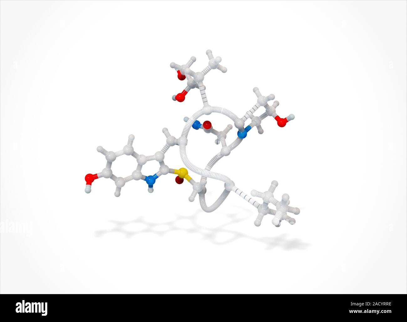 Alpha Amanitin Toxin Molecule Computer Model Showing The Structure Of