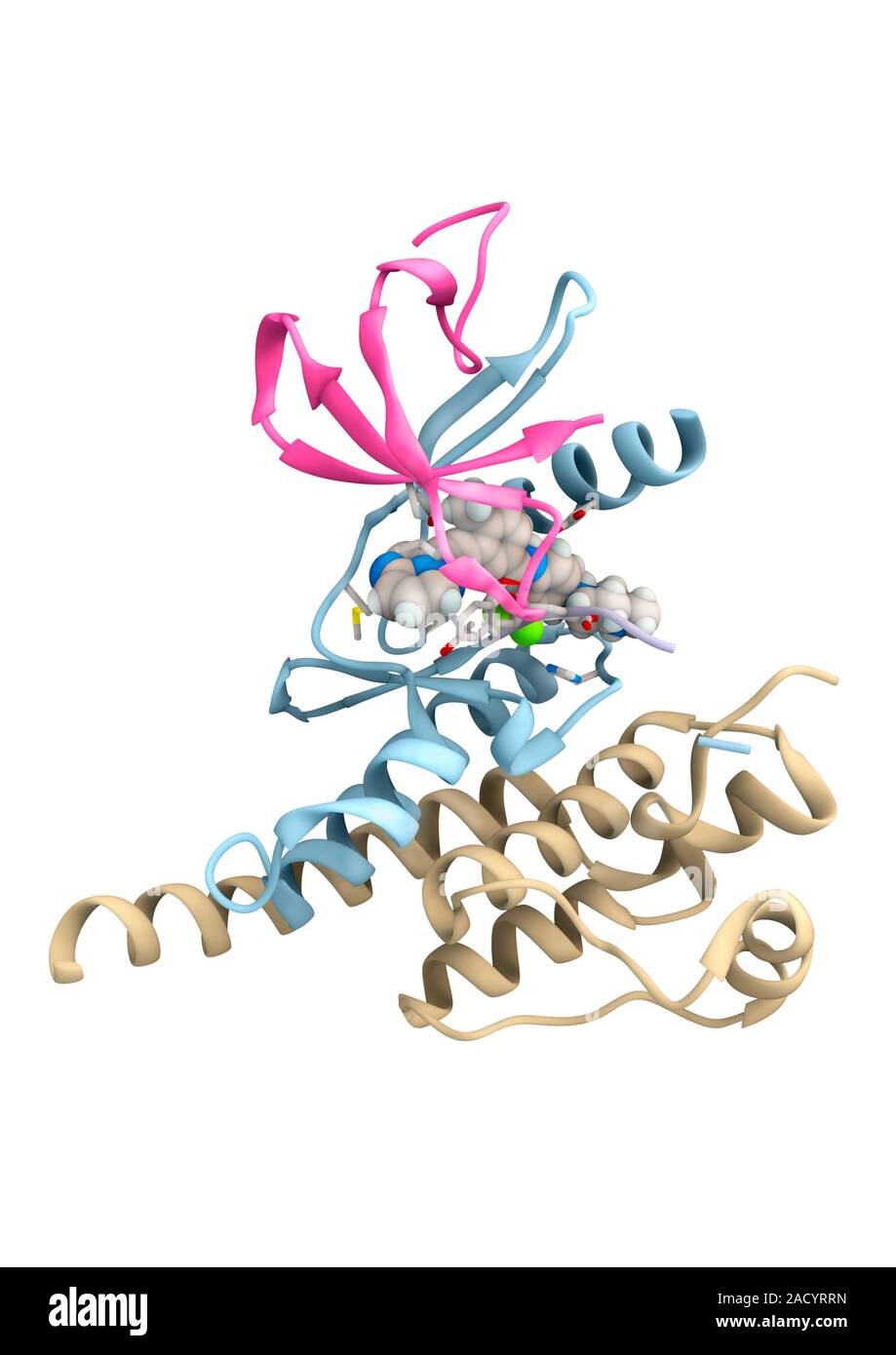 Ponatinib Leukaemia Drug Molecule Computer Model Showing The Structure Of A Molecule Of The