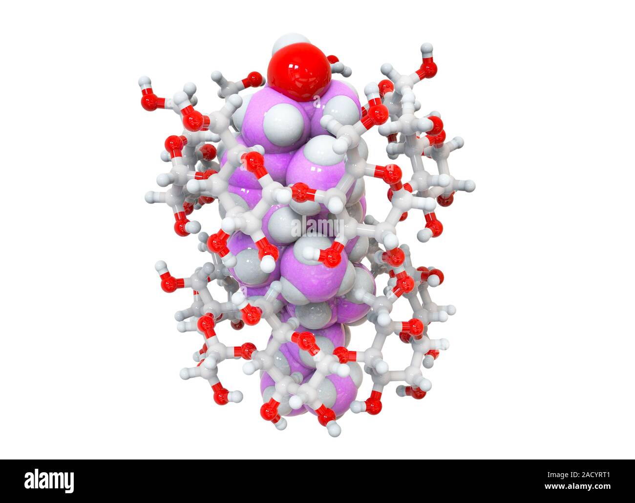Beta-cyclodextrin and cholesterol complex. Computer model showing two ...