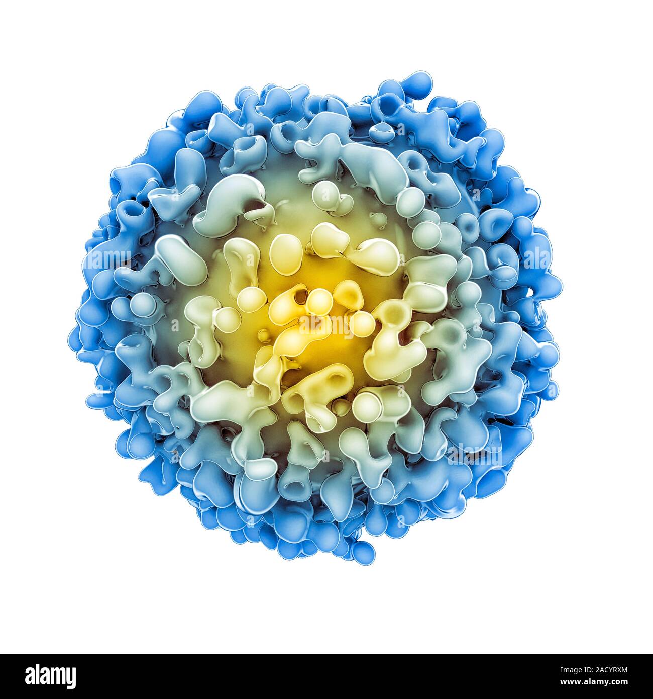 Cancer cell, illustration. Cancerous (malignant) cells divide rapidly ...