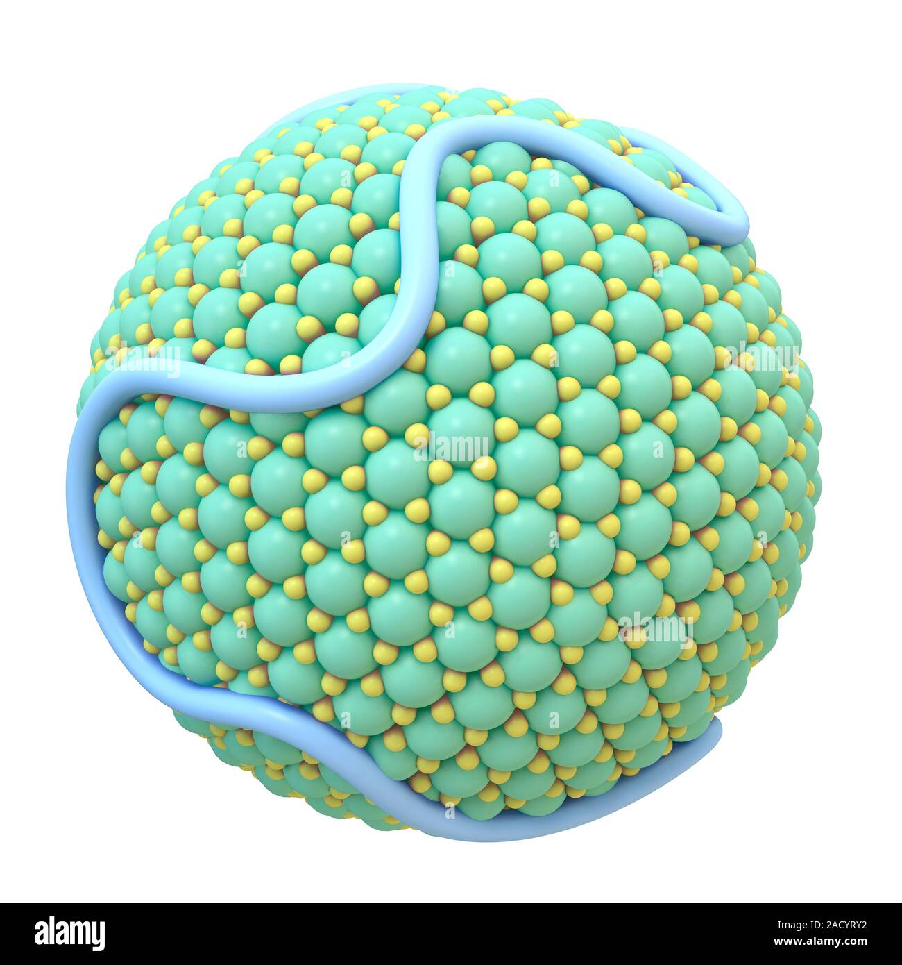 Lipoprotein, illustration. This is a low density lipoprotein (LDL), or ...