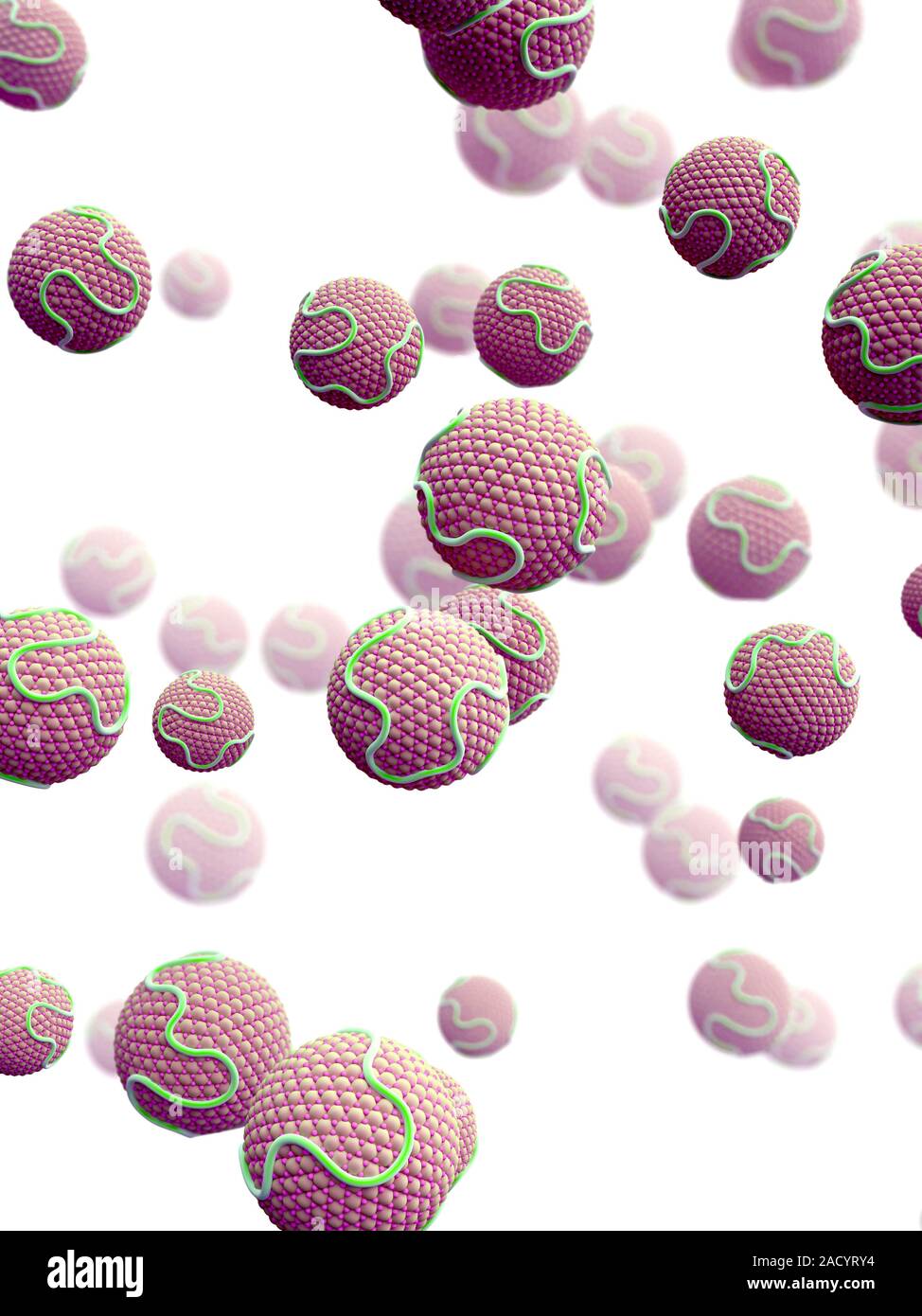 Lipoproteins, illustration. These are low density lipoprotein (LDL), or ...