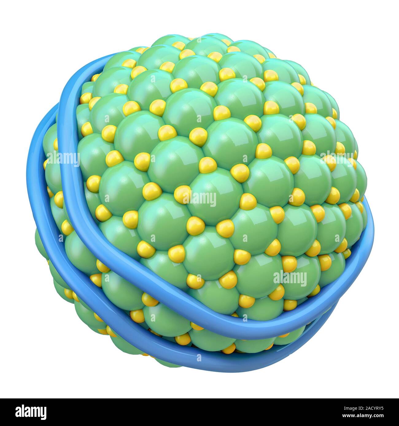 Lipoprotein, illustration. This is a high density lipoprotein (HDL), or ...