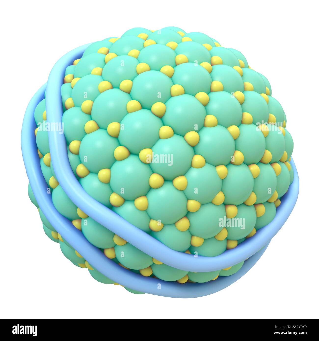 Lipoprotein, illustration. This is a high density lipoprotein (HDL), or ...