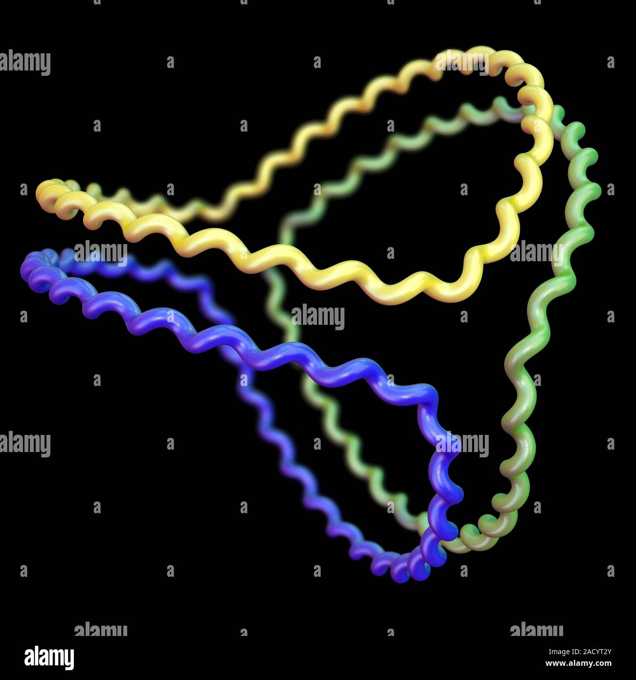 Human Apolipoprotein A-1 molecule. Molecular model showing the ...