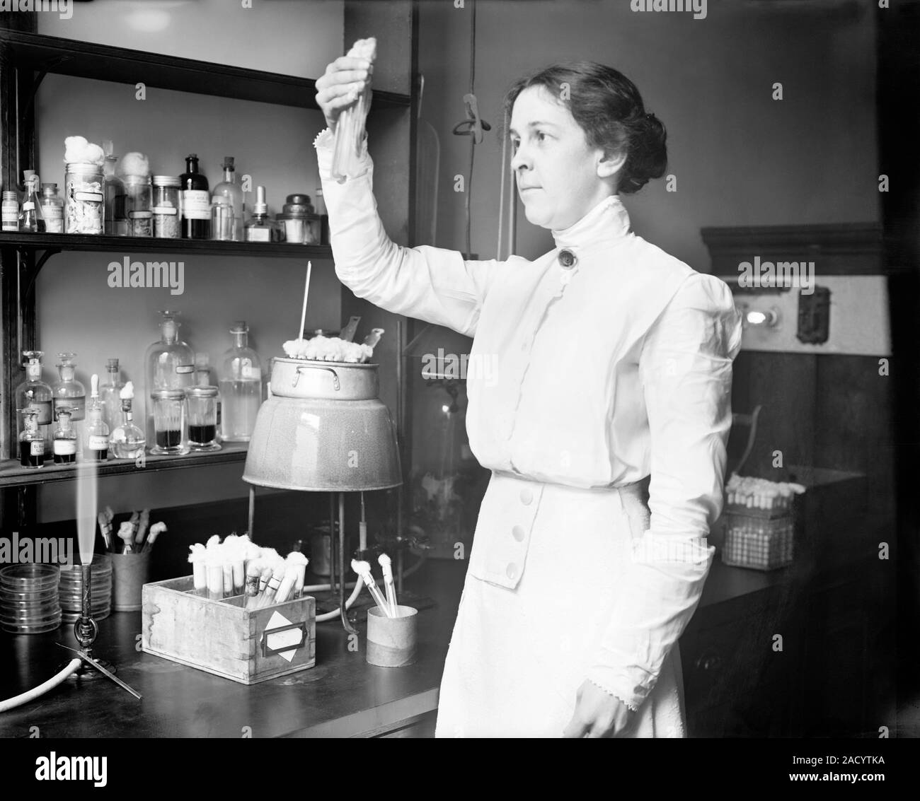 Alice Catherine Evans (1881-1975), US food microbiologist, carrying out ...
