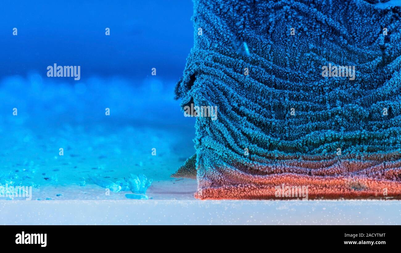 Zinc reacting with copper sulphate solution to form copper (red). This ...