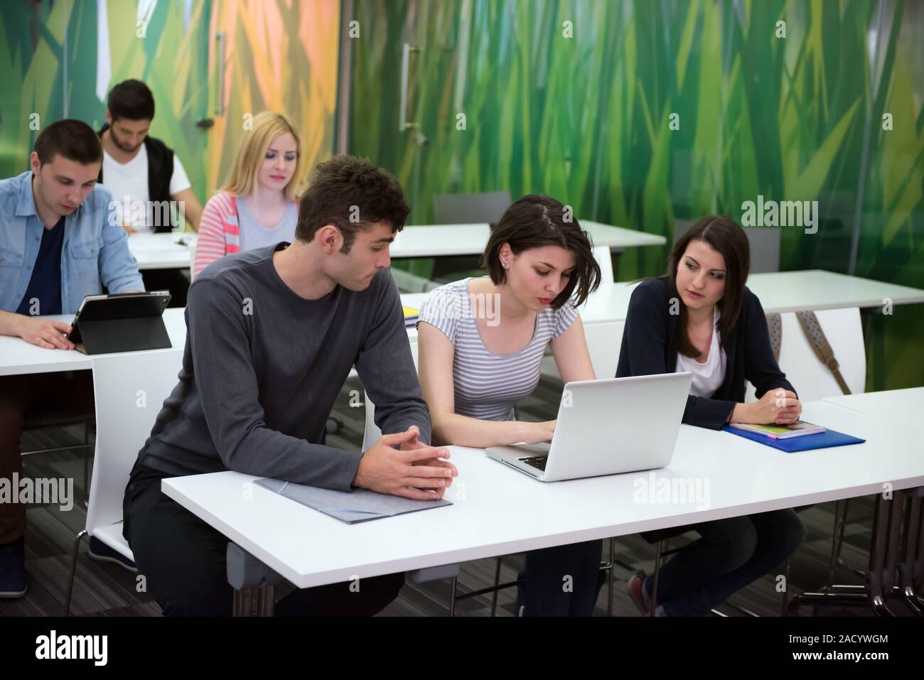 students group study Stock Photo - Alamy
