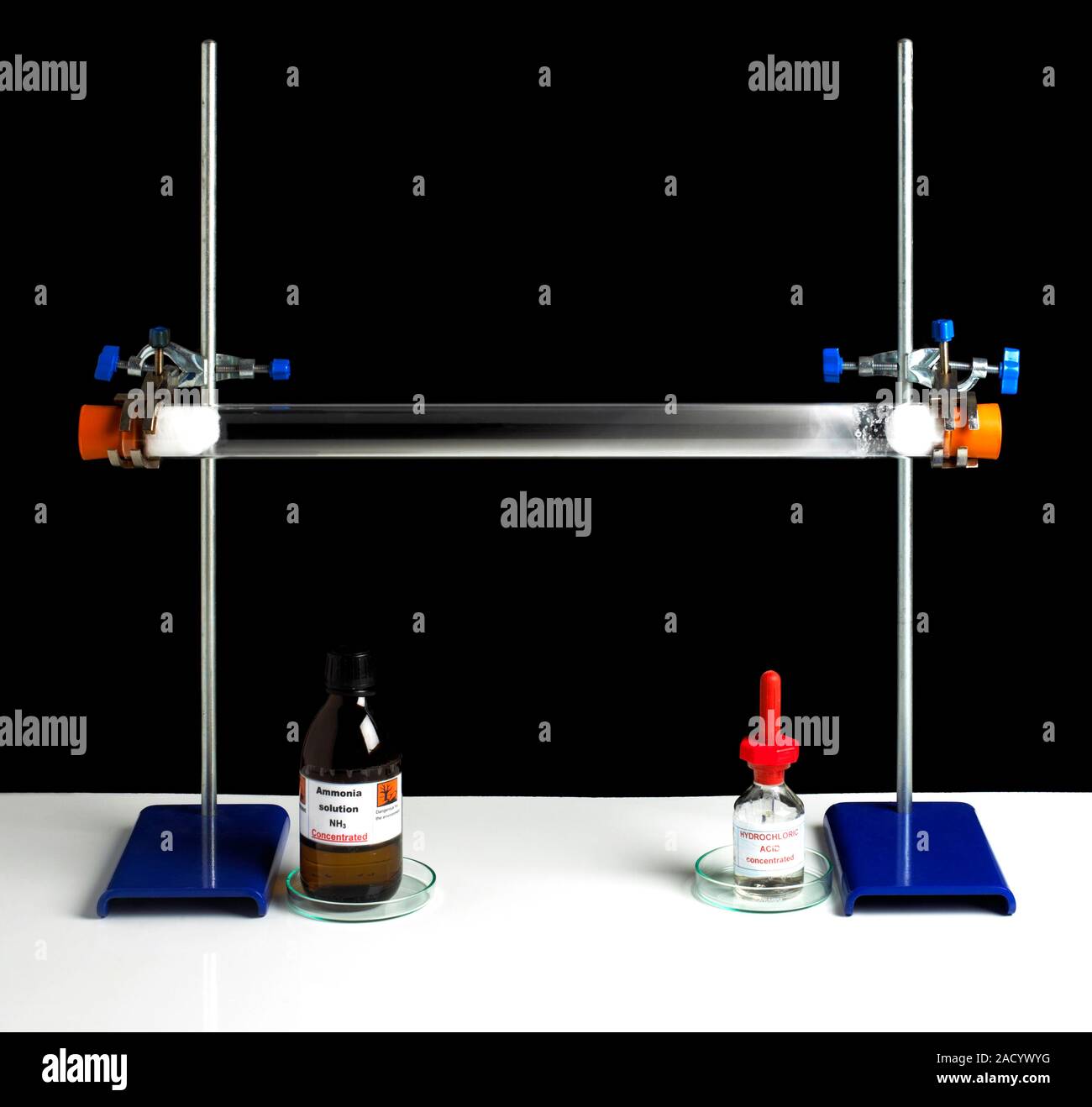 Formation of ammonium chloride. A horizontal tube containing cotton ...