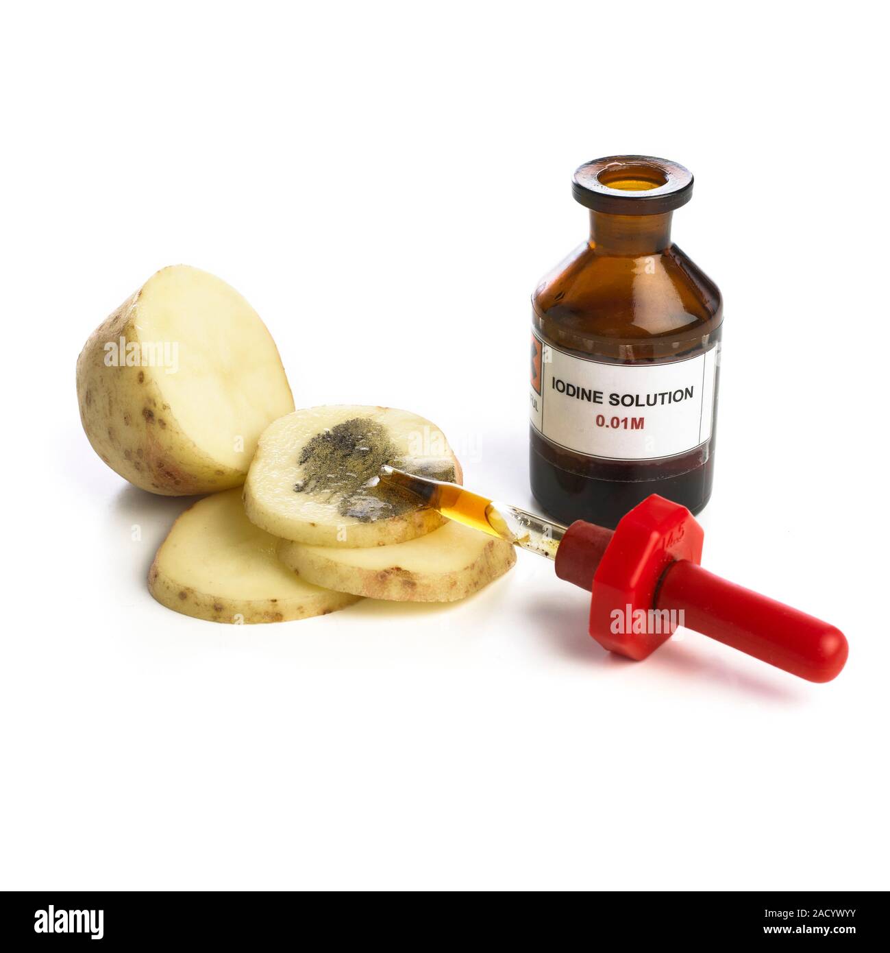 Iodine used to detect the presence of starch. Iodine solution is iodine ...