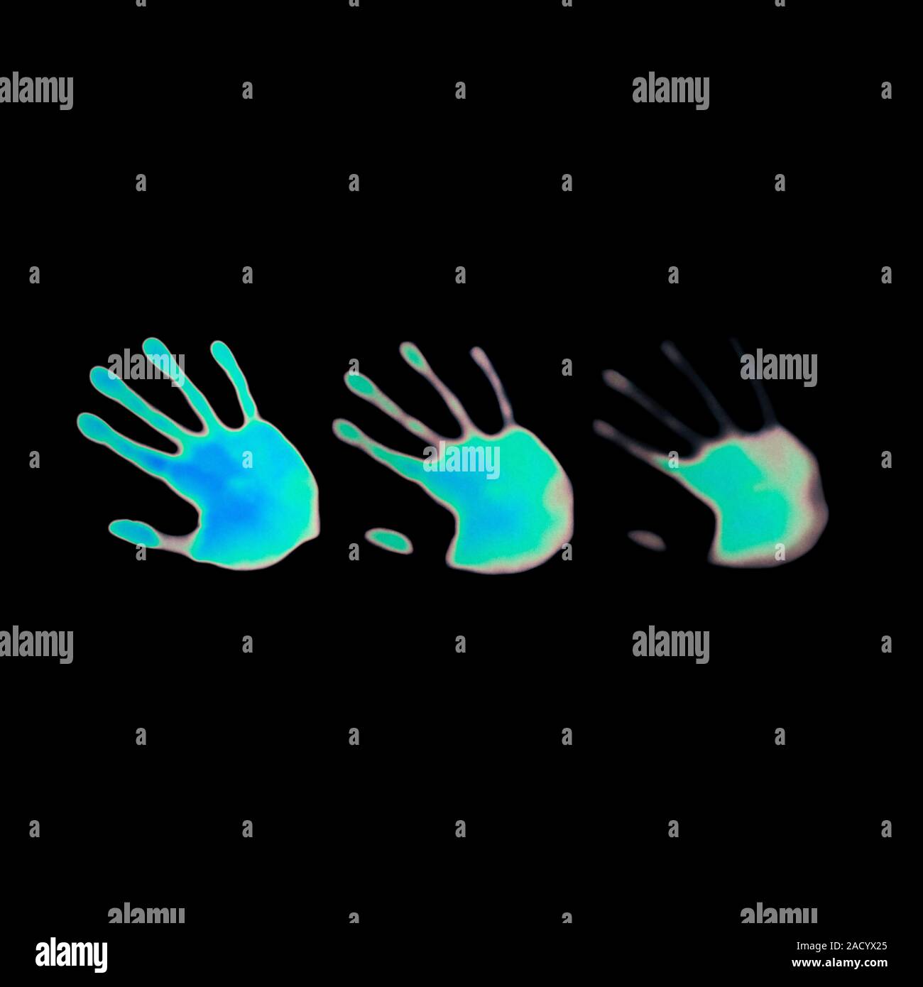 Thermochromism. Hand prints on thermochromic paper. The paper has a ...