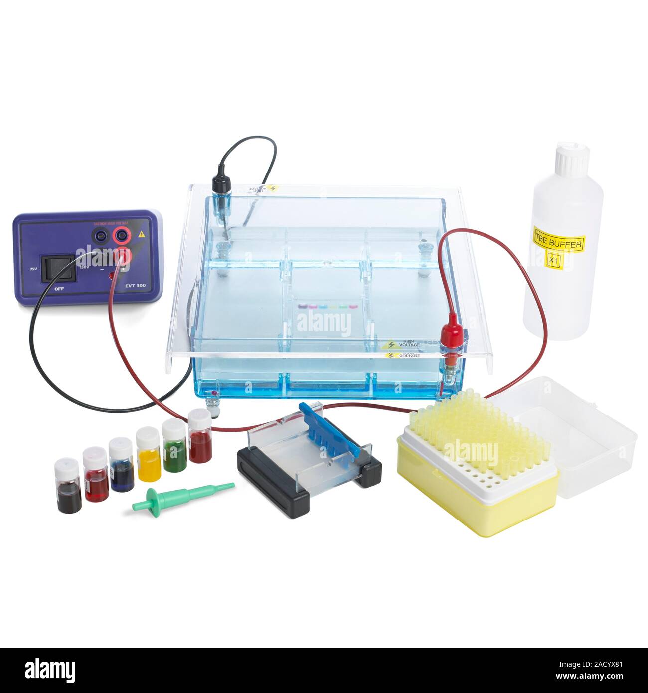 Equipment for gel electrophoresis. Elements of a kit to demonstrate the ...