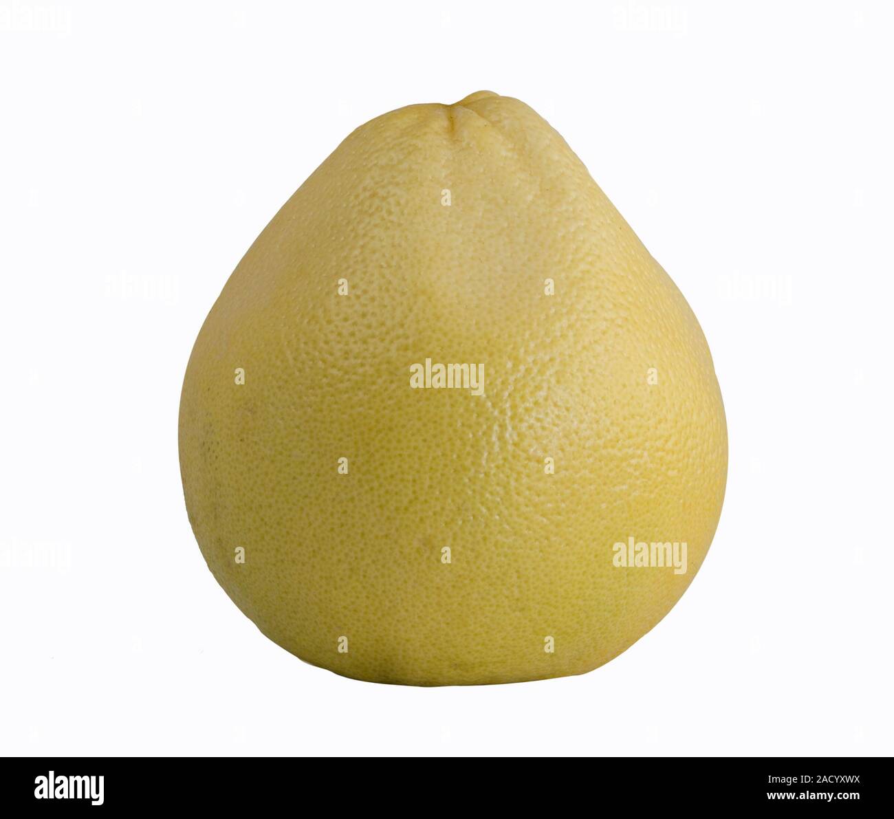 Pomelo isolated on white background Stock Photo - Alamy