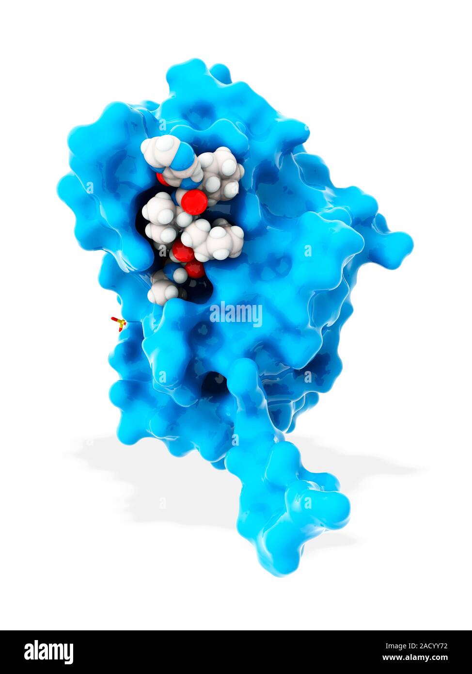 Hepatitis C proteins and drug complex. Computer model showing a ...