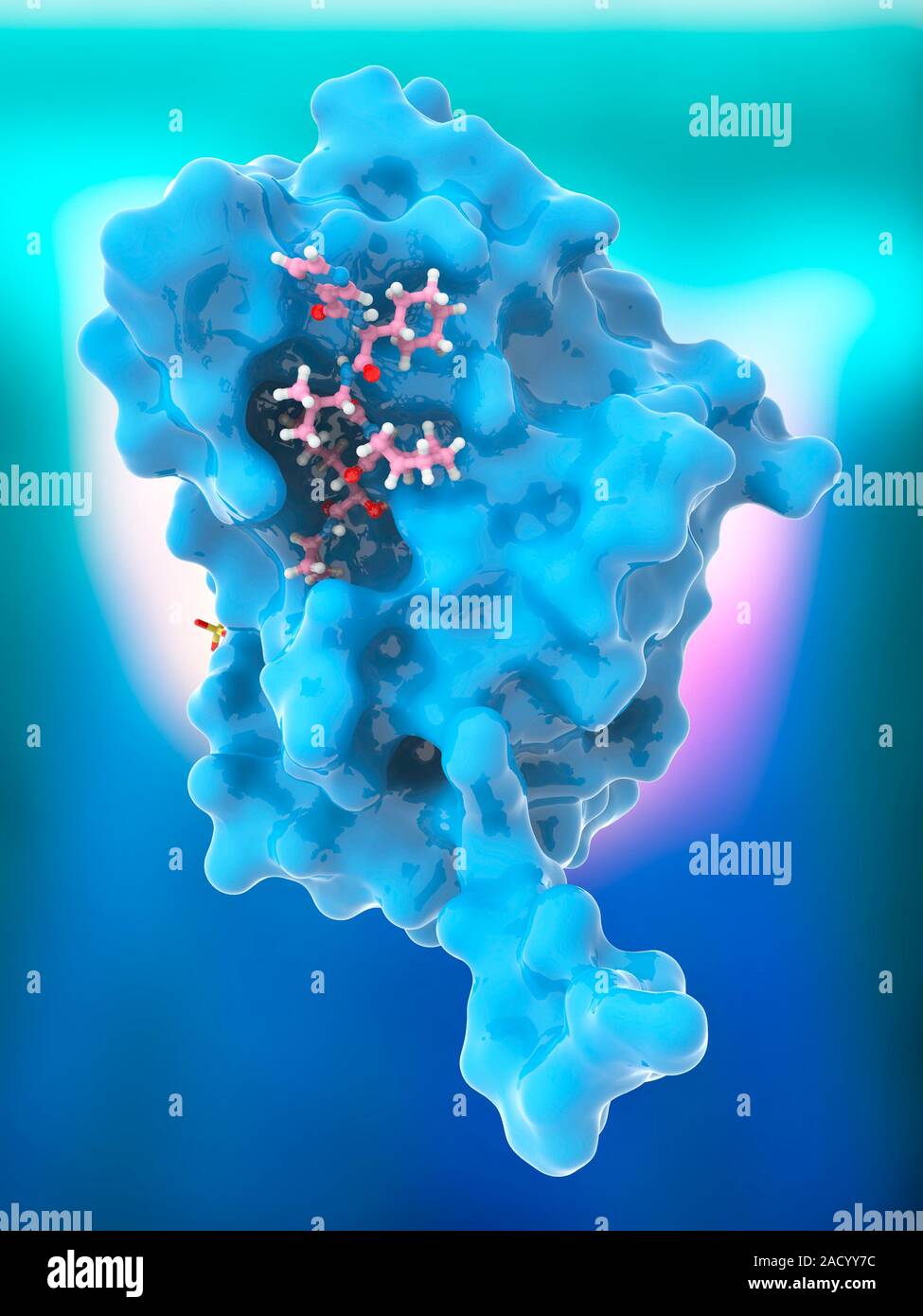 Hepatitis C proteins and drug complex. Computer model showing a ...