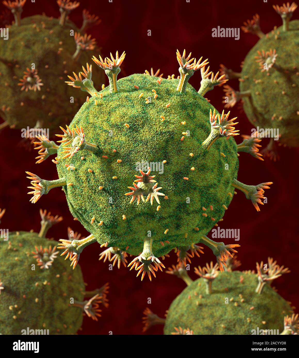 HIV particles. Computer illustration of HIV (human immunodeficiency ...