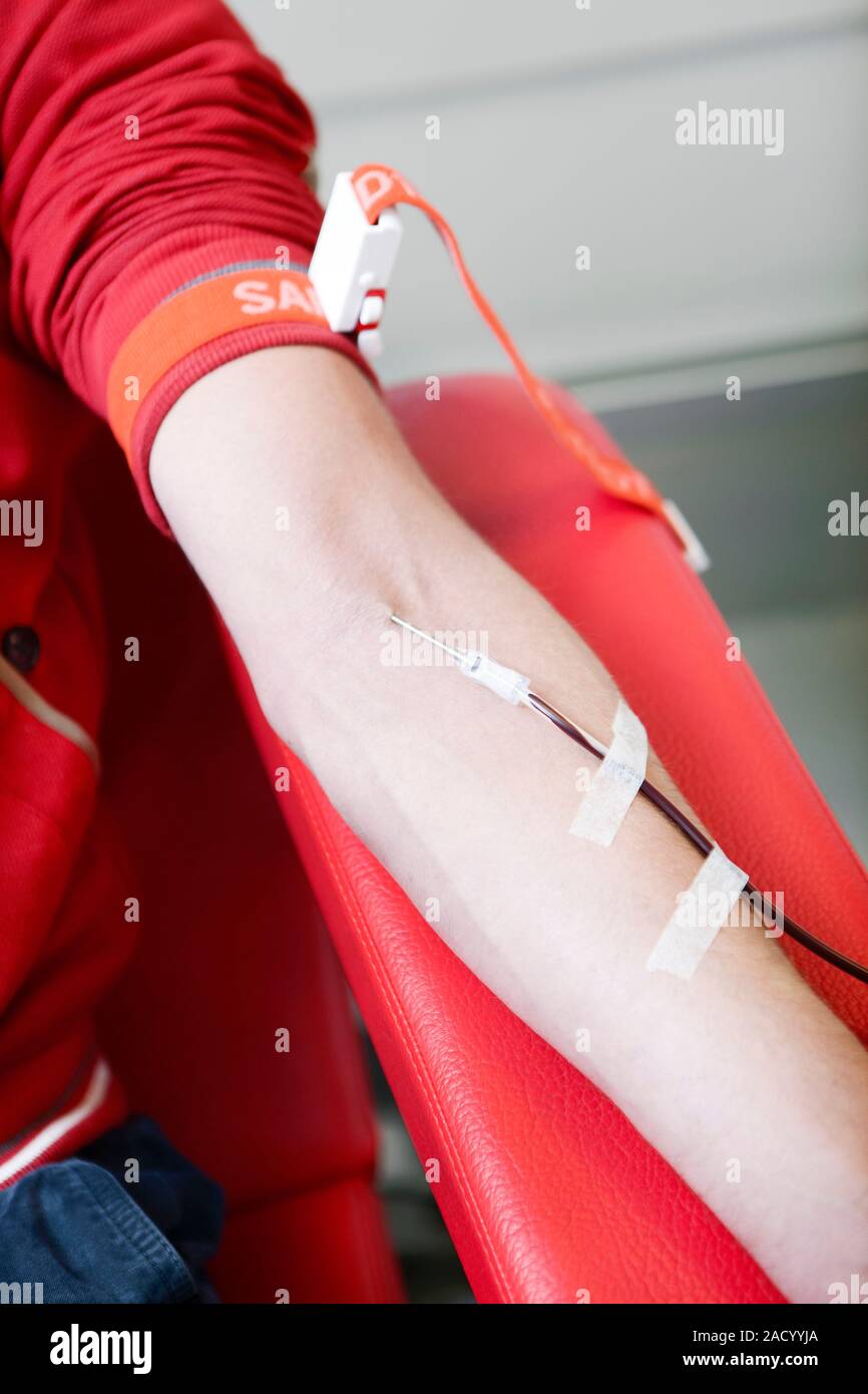 Blood donation clinic. Close-up of a cannula in the vein of a man ...