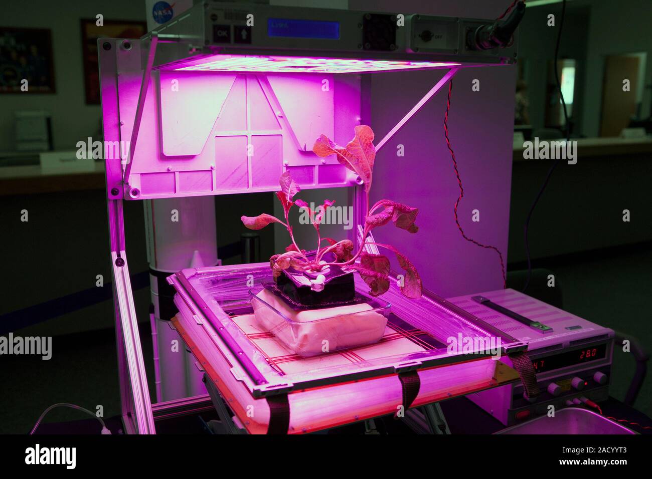 Astronaut Vegetable Production System. Outredgeous red romaine lettuce ...