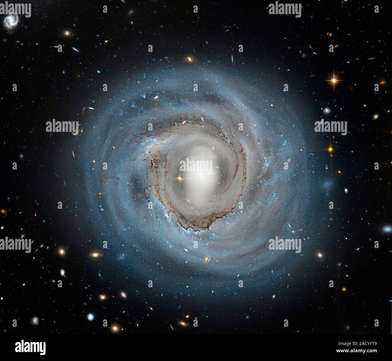 NGC 4921 spiral galaxy. Hubble Space Telescope (HST) image of the ...