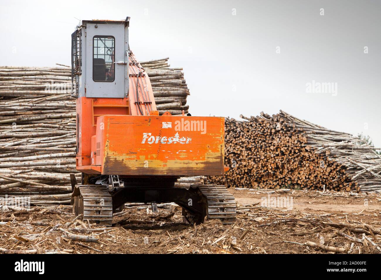 Boreal forest trees clear felled to make way for a new tar sands mine ...