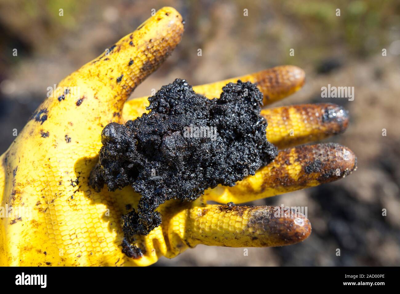 A hand full of tar sand. The tar sands are the largest industrial ...