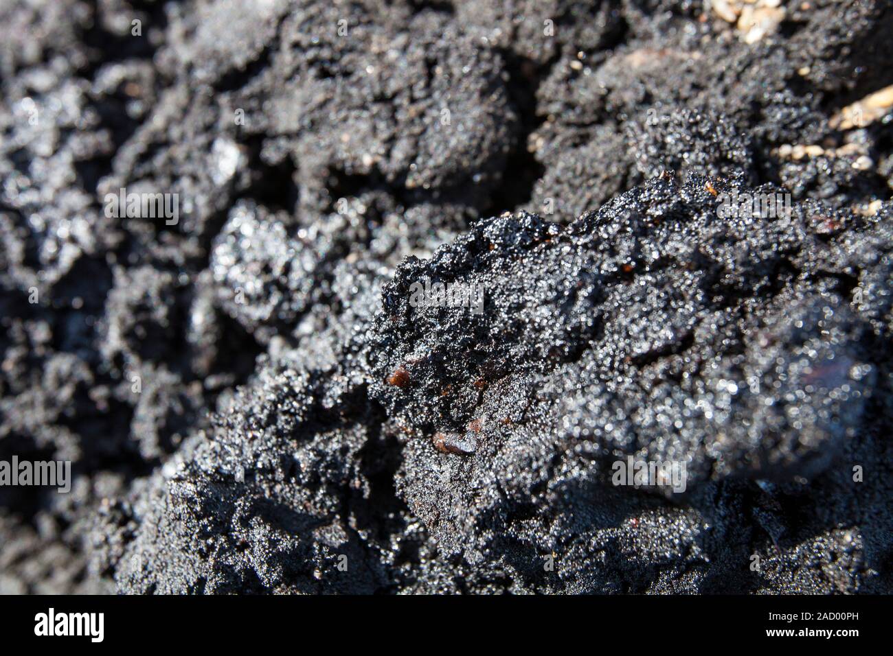 Tar sands deposits. The tar sands are the largest industrial project on ...