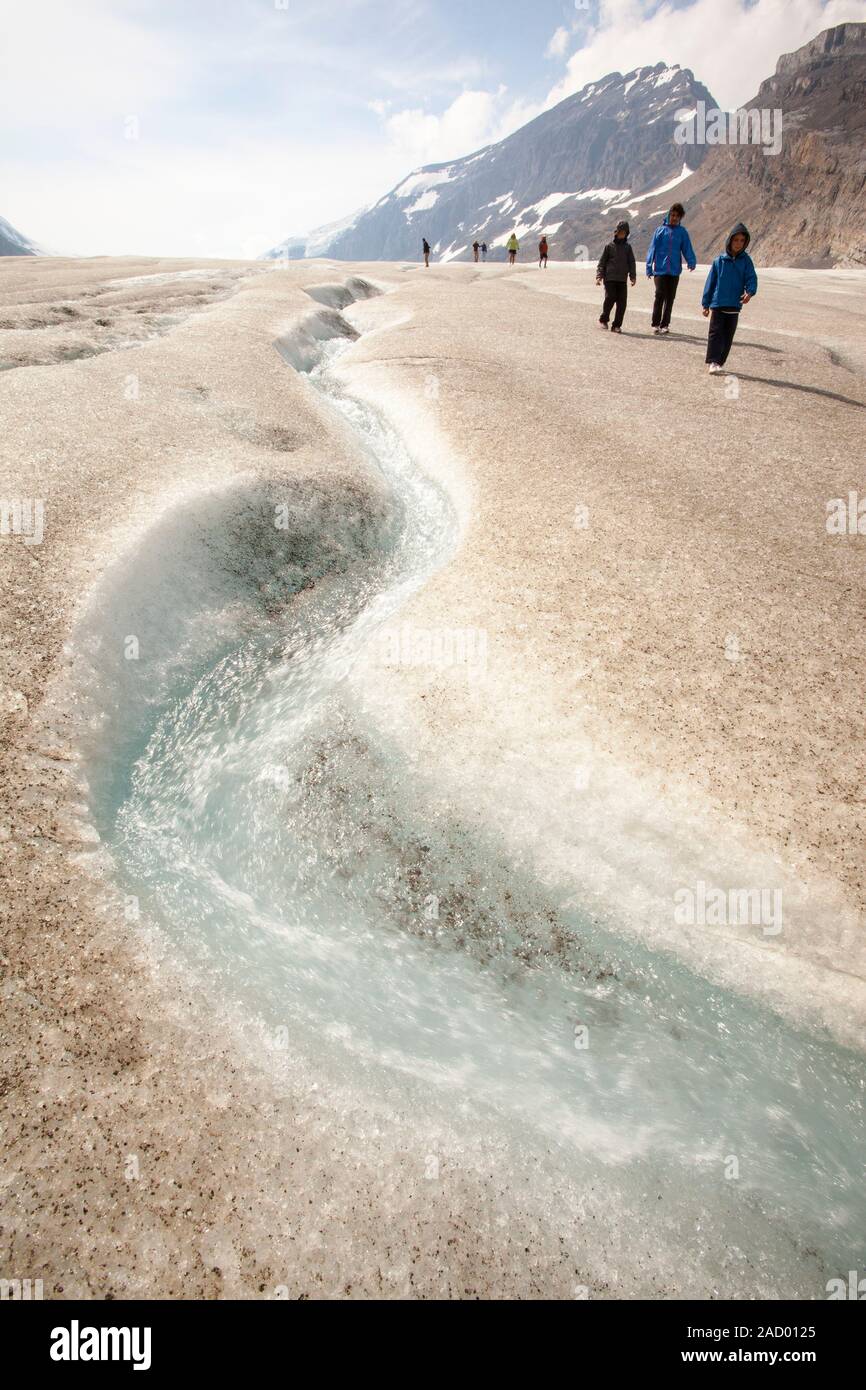 Meltwater channels and tourists on the Athabasca glacier which is ...