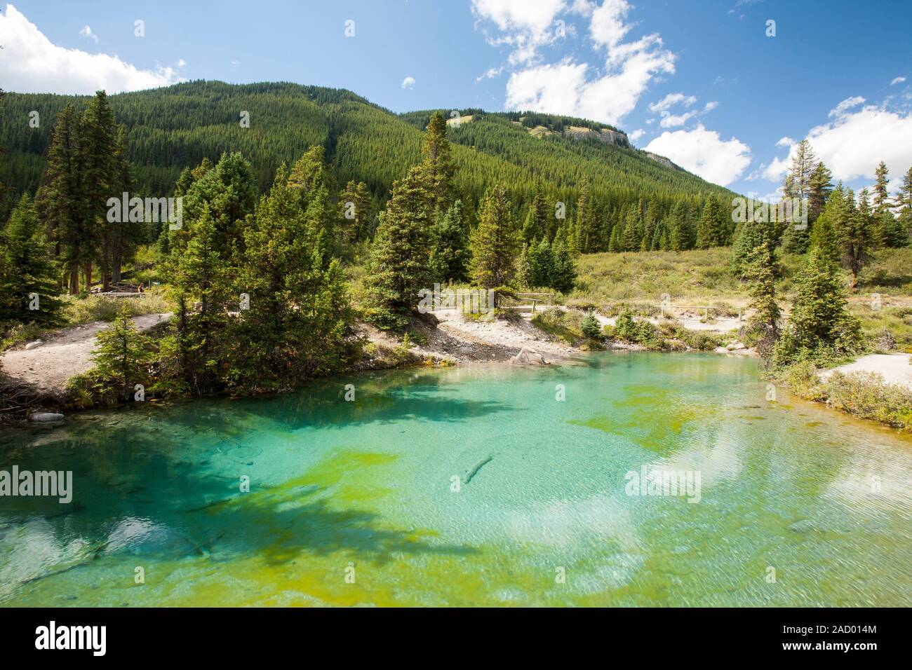 The Ink Pots, limestone spring water pools in Johnsons Canyon in the ...
