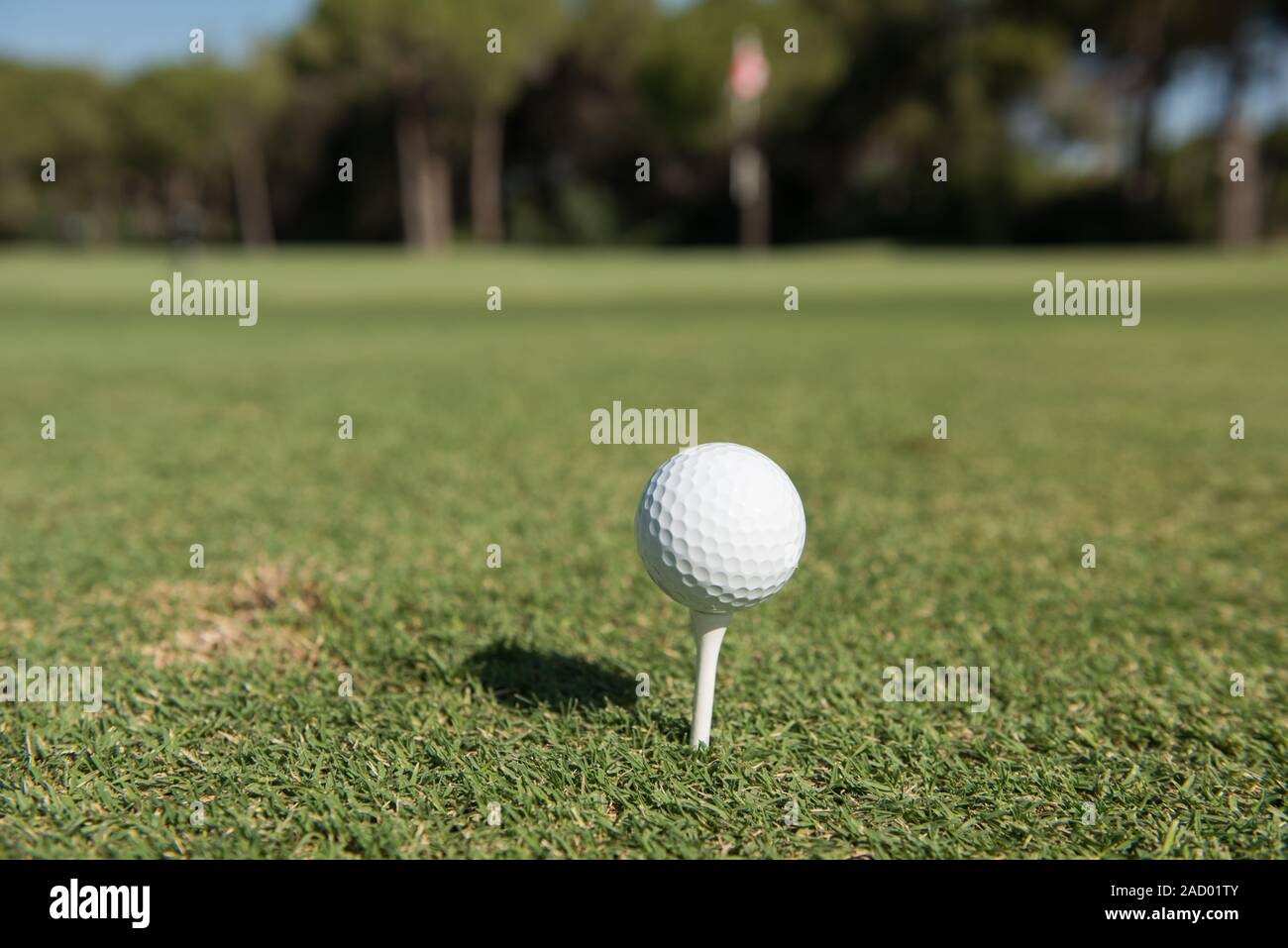 golf ball on tee Stock Photo - Alamy