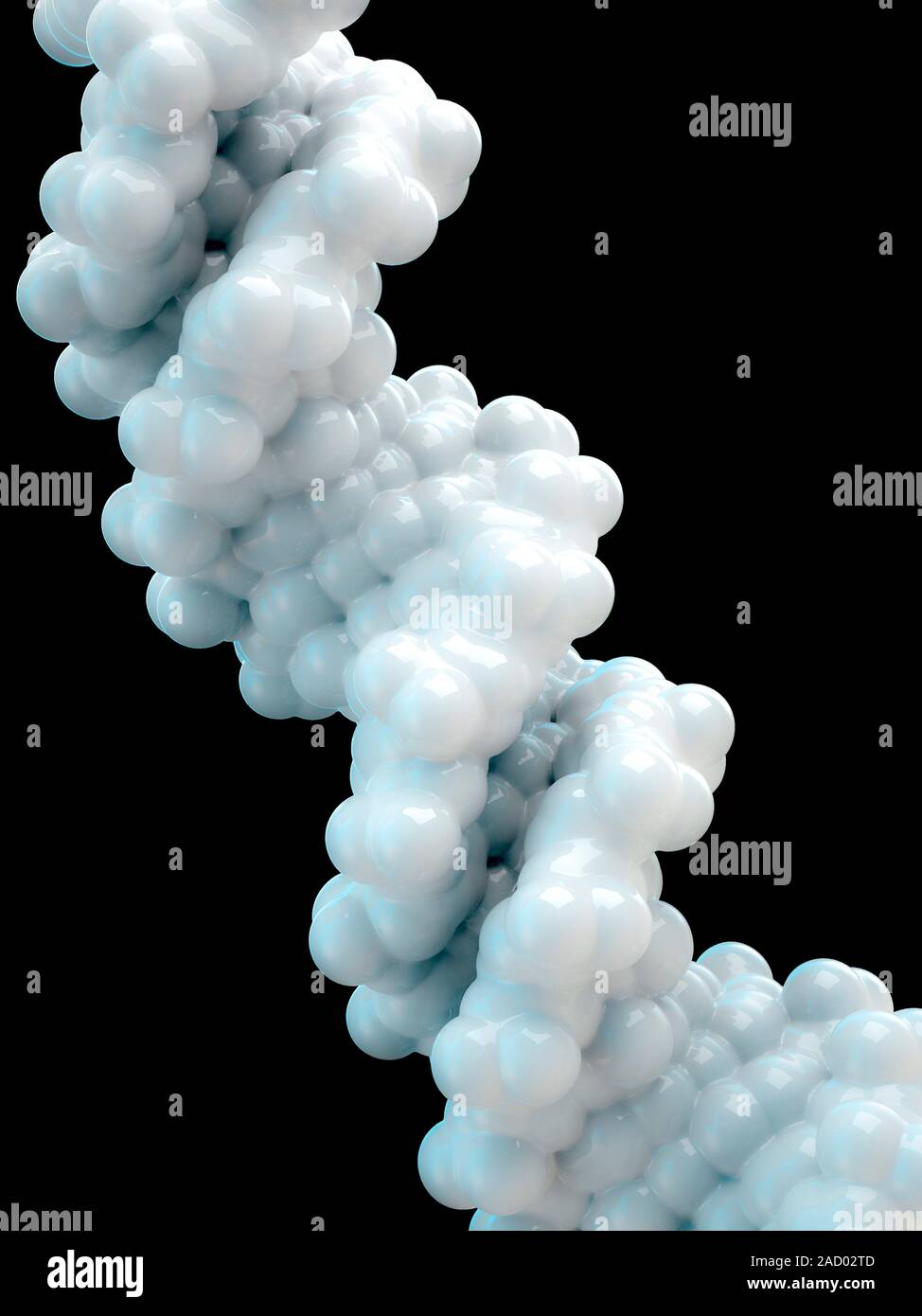 DNA molecule. Computer illustration of a double stranded DNA ...