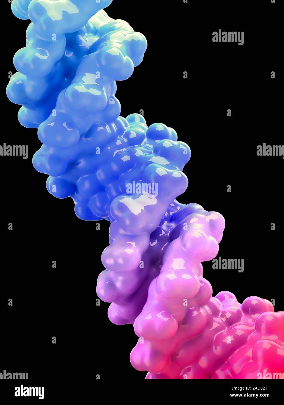 DNA molecule. Computer illustration of a double stranded DNA ...