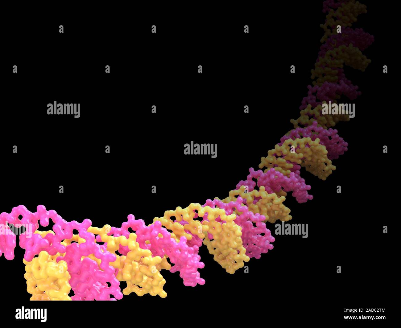 DNA molecule. Computer illustration of a double stranded DNA ...