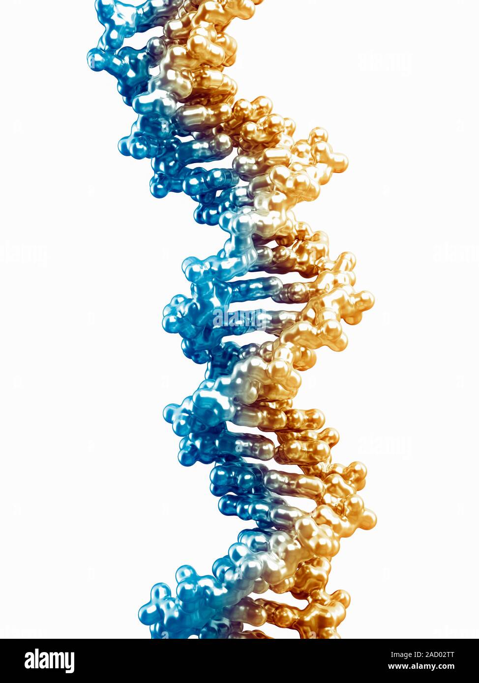 Dna Molecule Computer Illustration Of A Double Stranded Dna