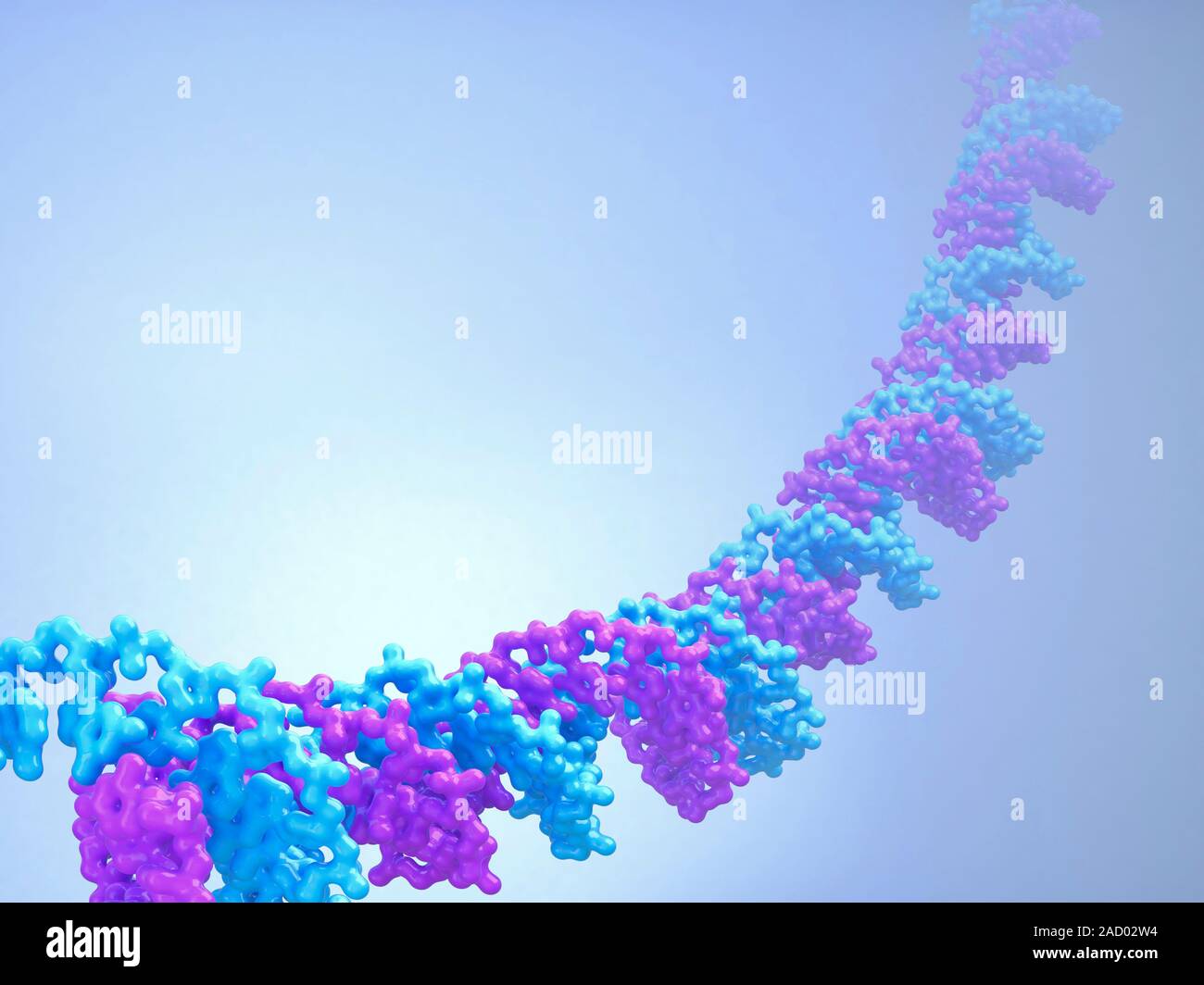 DNA molecule. Computer illustration of a double stranded DNA ...