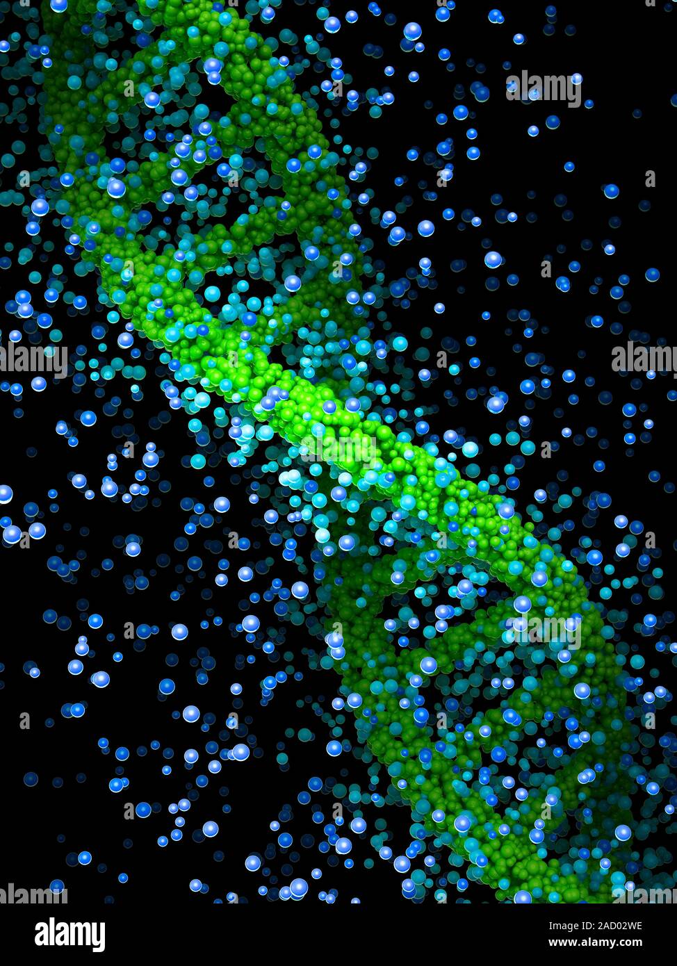 DNA molecule. Computer illustration of a double stranded DNA ...