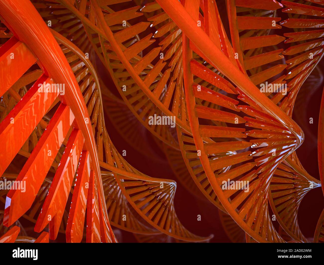 DNA molecules. Computer illustration of double stranded DNA ...