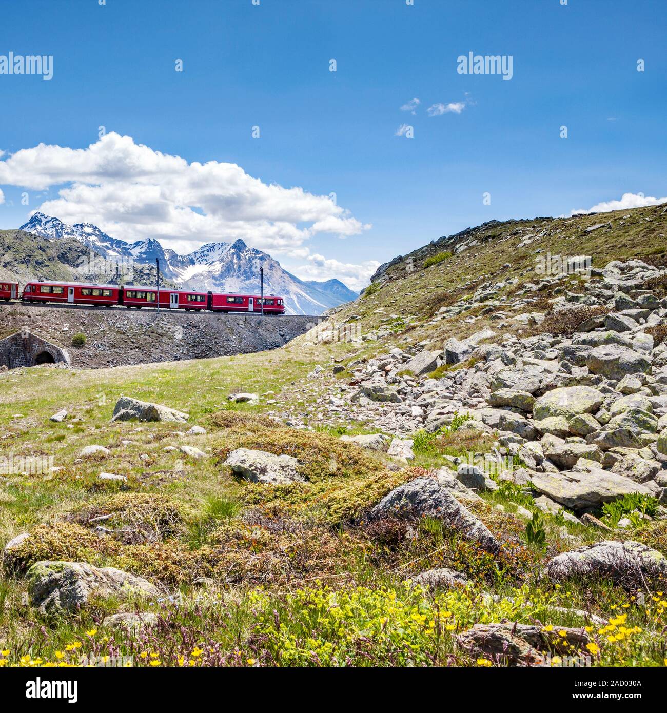 Bernina train in alpine landscape - Switzerland Stock Photo - Alamy
