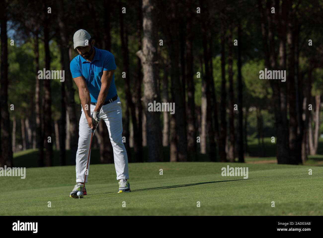 golf player hitting shot Stock Photo - Alamy