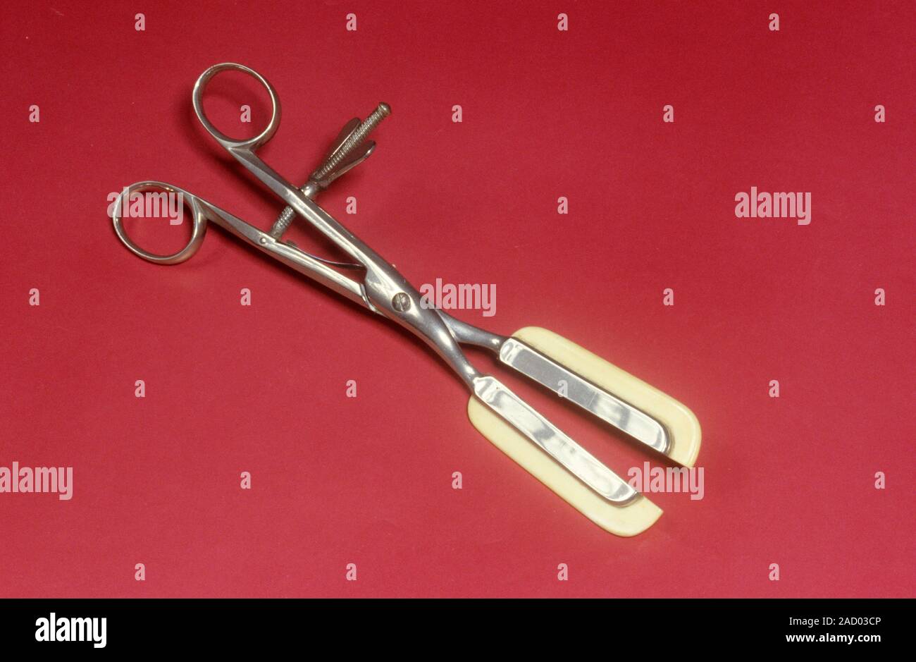 Haemorrhoid forceps made from steel and ivory. Haemorrhoids (commonly ...