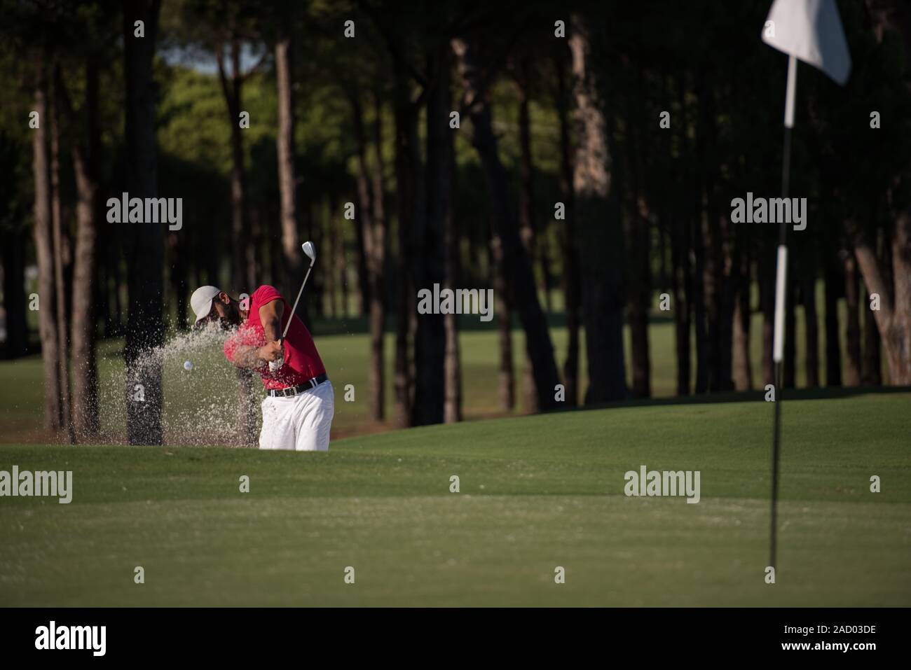 golfer hitting a sand bunker shot Stock Photo - Alamy