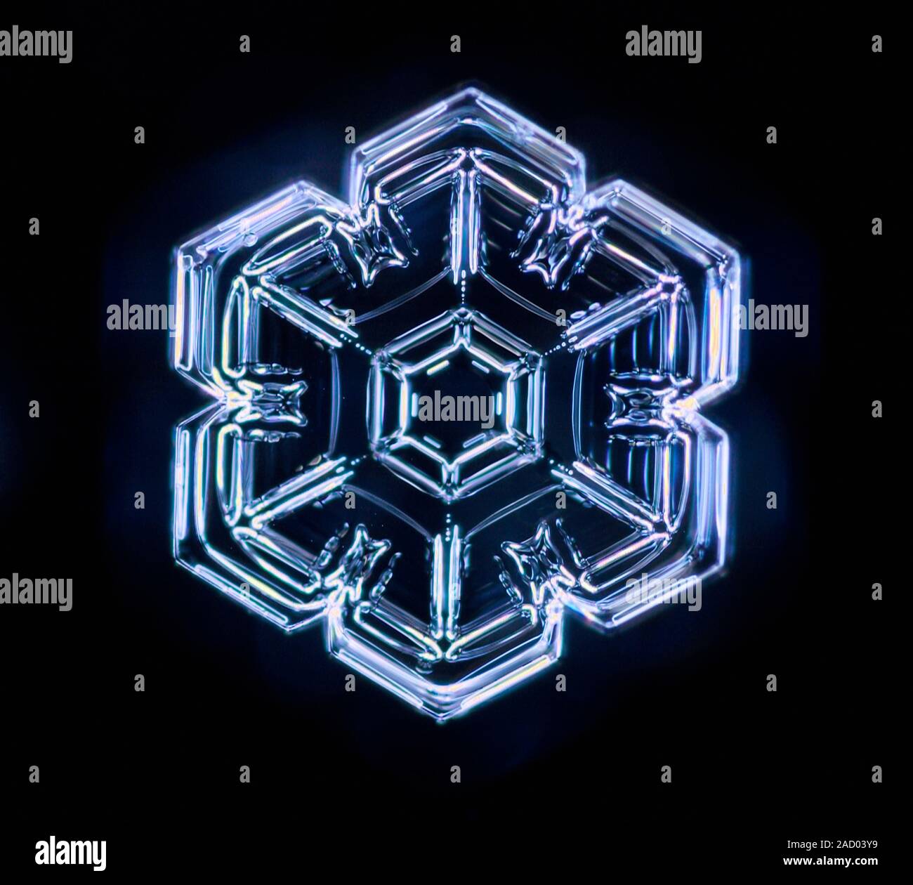Snowflake. Light micrograph of a stellar plate snowflake. Snowflakes ...