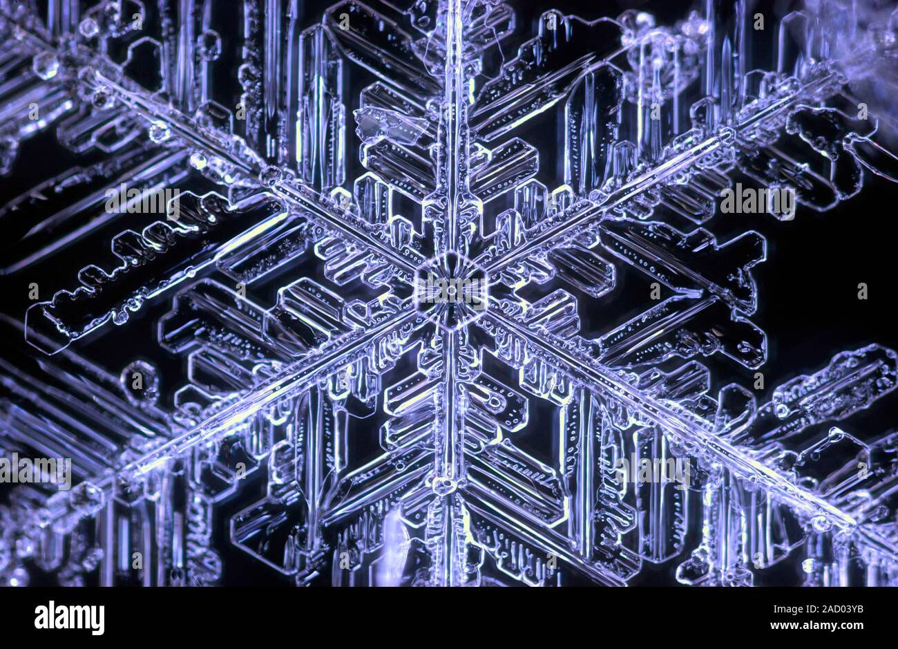 Snowflake. Light micrograph of a fernlike stellar dendrite snowflake ...