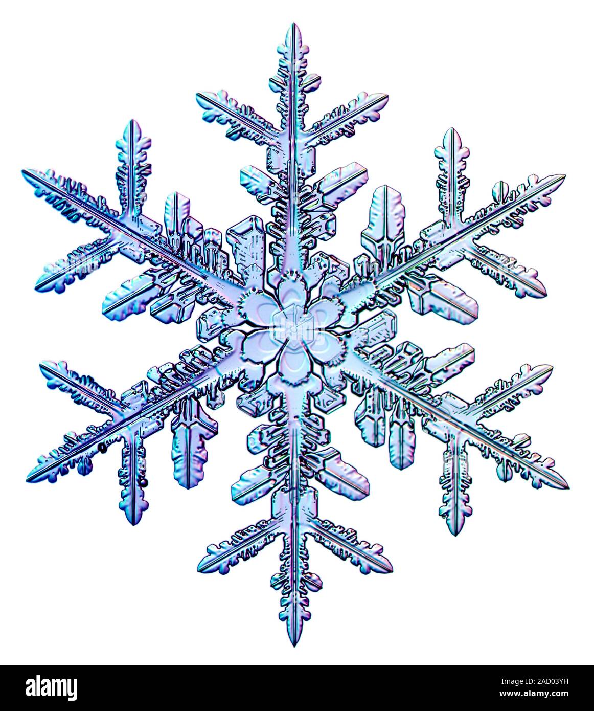 Snowflake. Light micrograph of a fernlike stellar dendrite snowflake ...