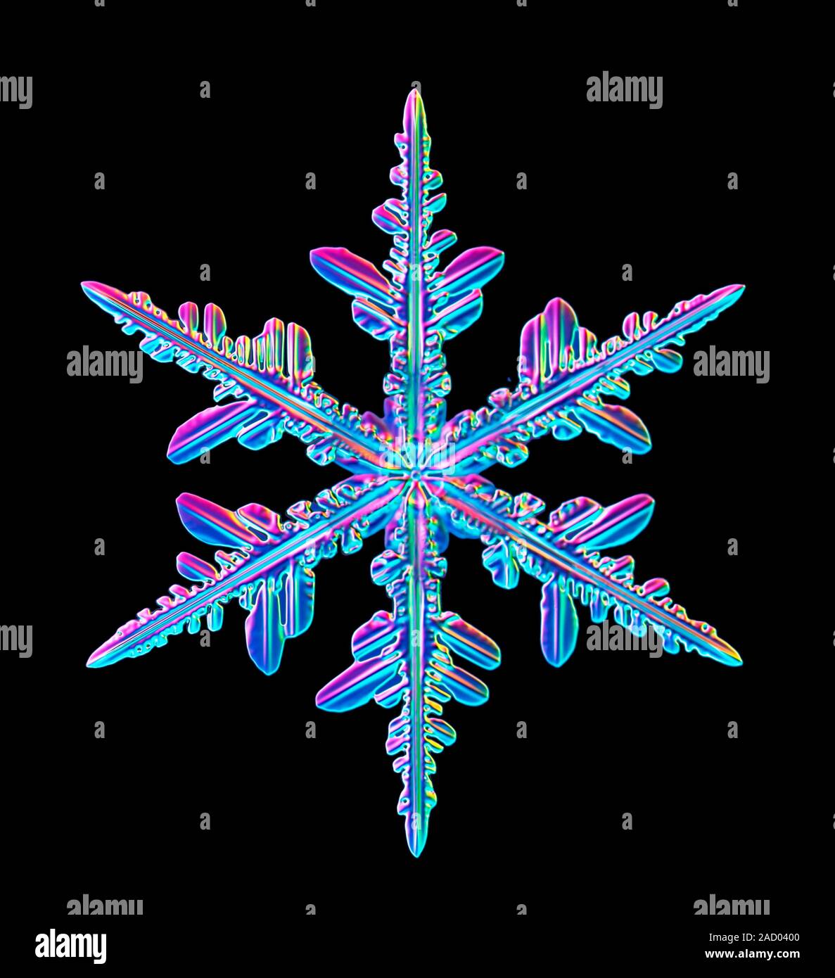 Snowflake. Light micrograph of a stellar dendrite snowflake. Snowflakes ...