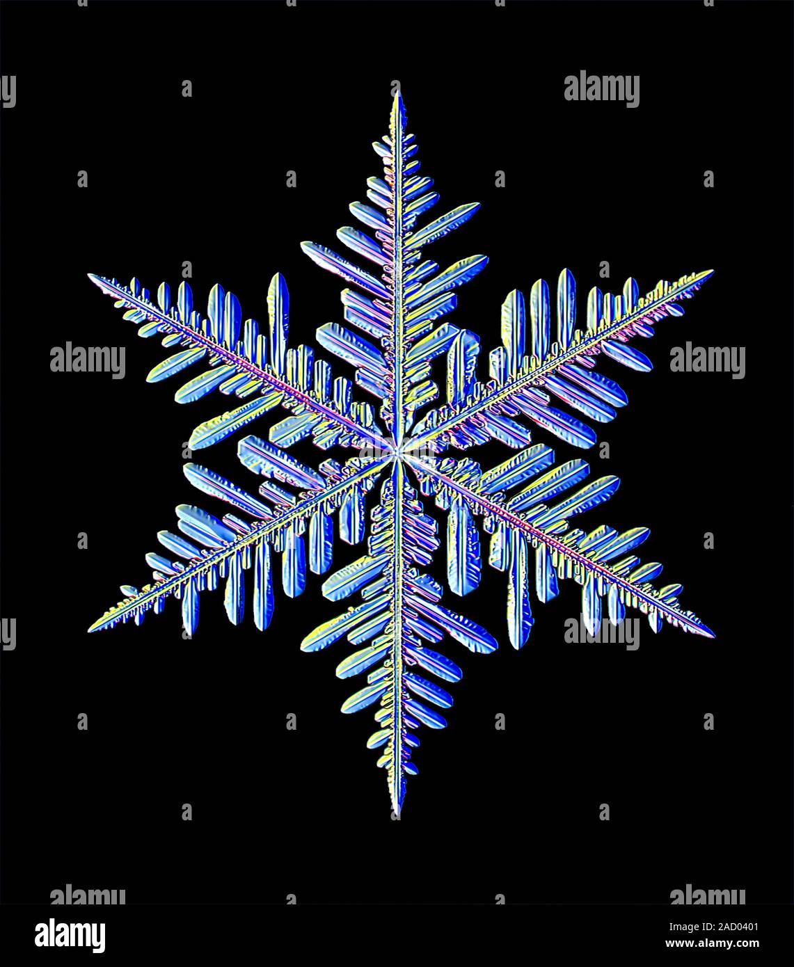 Snowflake. Light micrograph of a fernlike stellar dendrite snowflake ...